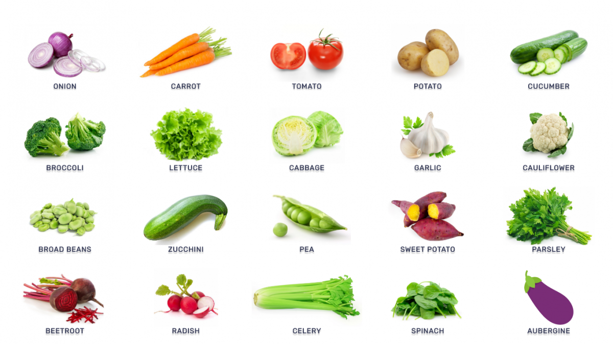 ผักภาษาอังกฤษ รวมคำศัพท์ผัก ครบถ้วนที่สุด พร้อมคำอ่าน คำแปล